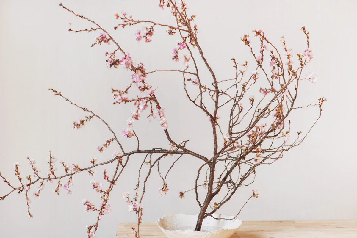 A Guide to Ikebana Flower Arranging – All Things Konmari'd